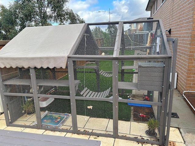 Walk In Wooden Catio Cat Enclosure Cage House 280x188cm | Pet Products ...