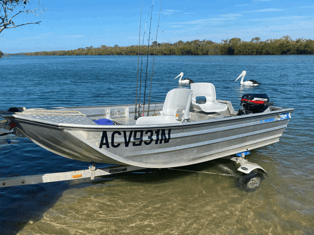 3.4 mtre Stessle Edgetracker Tinnie & Mercury 15 HP & Folding Trailer ...