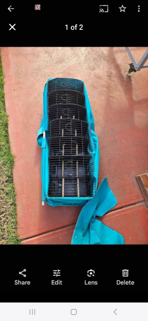 Show cages for borders & fife. x 7 $150 with bag | Birds | Gumtree ...