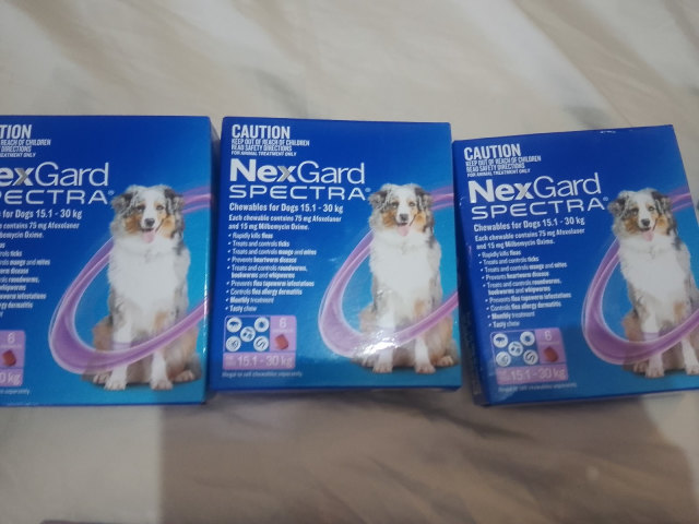 NexGard SPECTRA for dogs | Pet Products | Gumtree Australia Cessnock ...