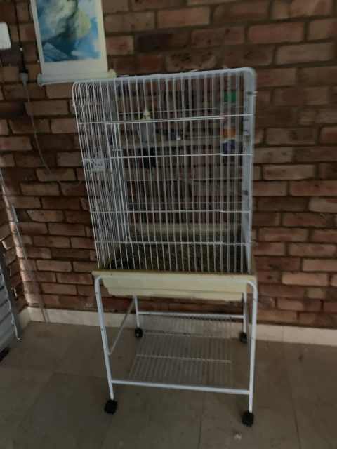 Large bird cage with a beautiful colourful bird - Miscellaneous Goods ...