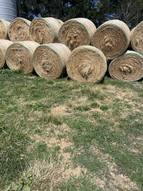 Large 5x4 Bales of Hay | Livestock | Gumtree Australia Waratah Area ...