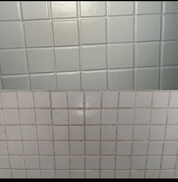 Residential cleaner, commercial cleaner, construction cleaner - Vacuum ...