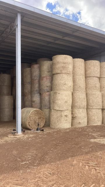 New season hay round bales | Pet Products | Gumtree Australia Gawler ...