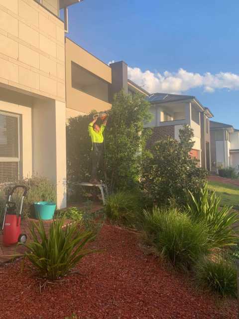 Garden care and maintenance | Landscaping & Gardening | Gumtree ...