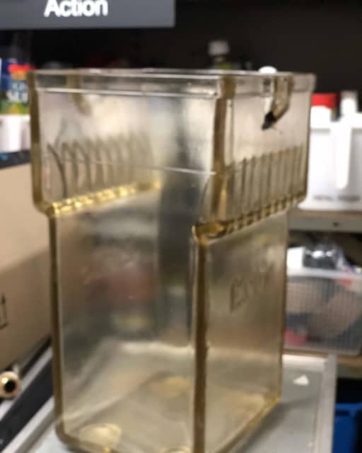 Battery Jar Glass Large - Perfect for Florist | Other Antiques, Art ...