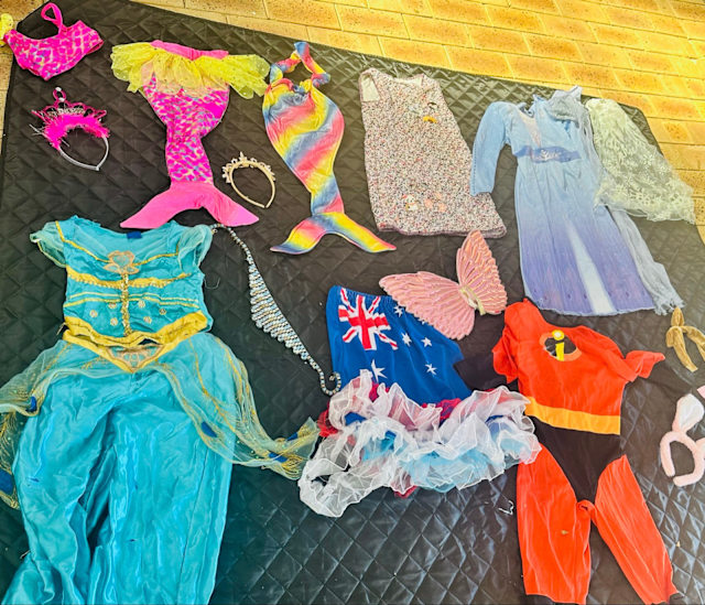 Girls dress ups - Toys - Indoor in Kingsley WA | Gumtree Australia