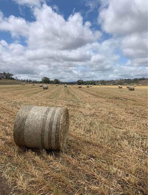 Oaten Hay Bales - Delivered - Other Garden in Leongatha VIC | Gumtree ...