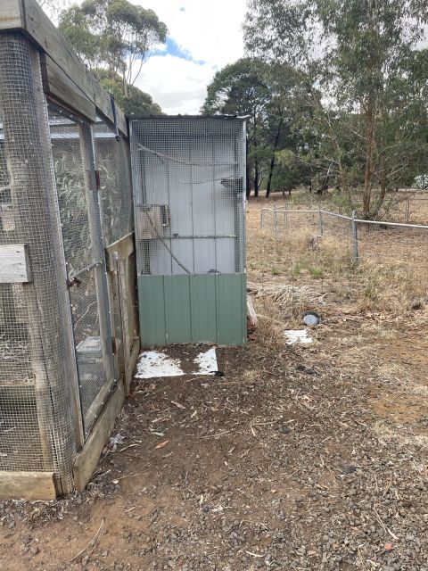 Bird cage small Avery | Pet Products | Gumtree Australia Golden Plains ...