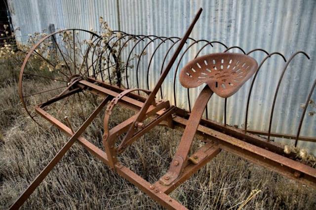 Antique horse drawn farm Rake - Great Rustic garden Landscape Item ...