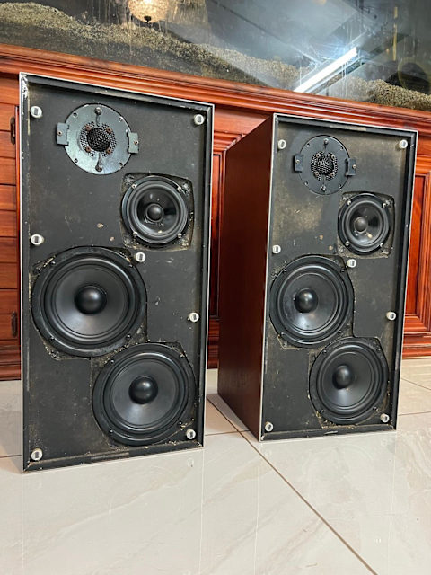 VINTAGE Beovox 4703 BANG & OLUFSEN ~ Floor SPEAKERS Made in Denmark ...