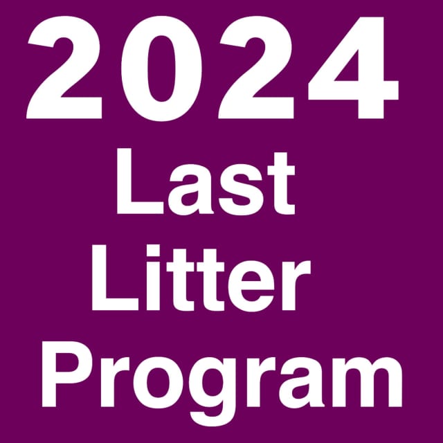 Last litter program | Cats & Kittens | Gumtree Australia Brisbane North ...