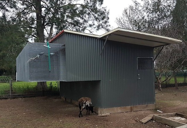Suspended Aviaries, Conventional Macaw Cage and birds | Birds | Gumtree Australia Bowral Area ...