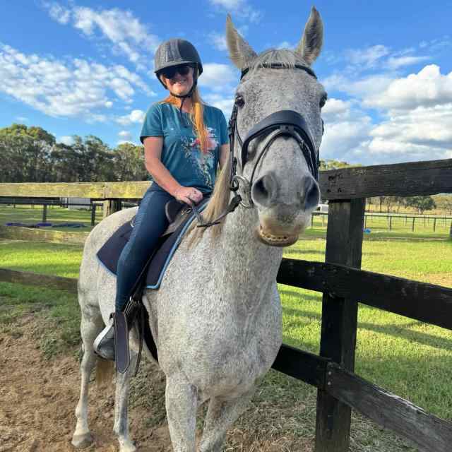 Gorgeous grey OTTB gelding *MASSIVE PRICE DROP* | Horses & Ponies | Gumtree Australia Wyong Area ...