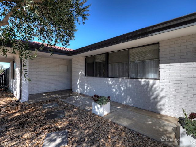 5 Tremont Place, Craigie, Western Australia 6025 - for Rent | Gumtree ...