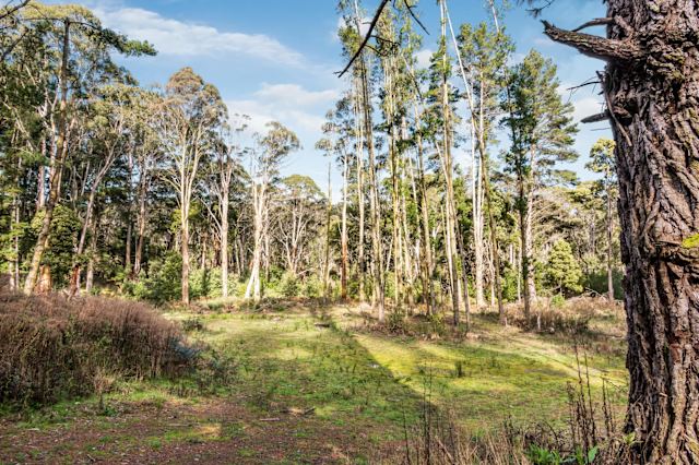 LOT 13 Old Blackwood Road, Blackwood, Victoria 3458 - Land for Sale ...