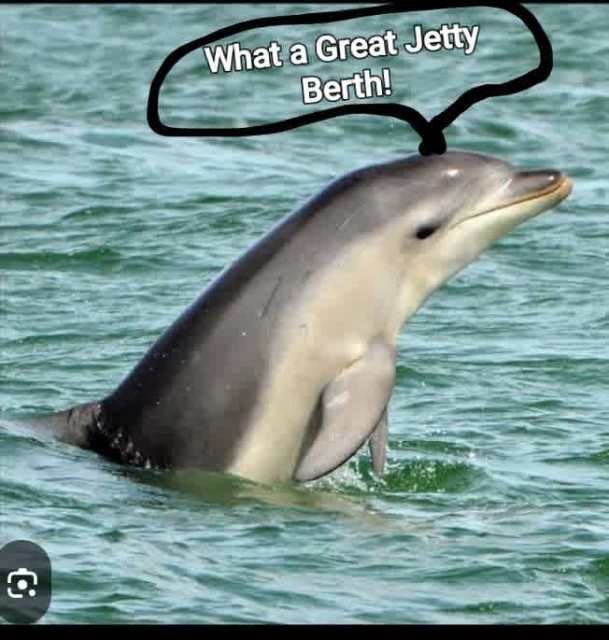 BOAT JETTY BERTH Paynesville PAYNESVILLE GIPPSLAND LAKES Suit 12m B ...