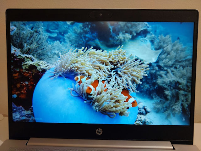 Fast HP 440 G7 14 FHD Laptop i5-10210U, 16GB RAM, 256GB SSD - Laptops ...