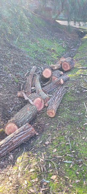 Free Gumtree firewood - Other Home & Garden in Lower Plenty VIC ...