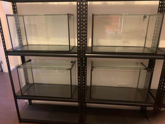 Four Aquarium fish tanks 60cm (2ft) | Fish | Gumtree Australia ...