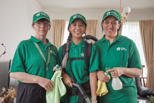 Cleaners/House Cleaner | On-going work | Premium Company | Cleaner ...