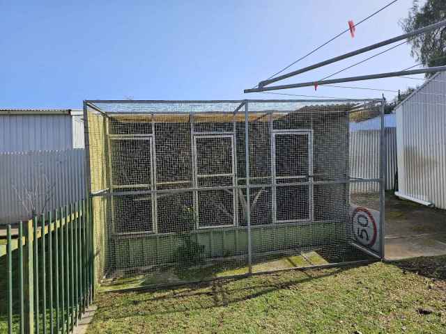 Bird / Rabbit Aviary | Pet Products | Gumtree Australia Morphett Vale ...