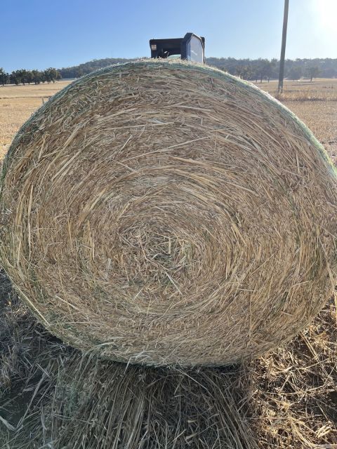 Oaten hay bales | Pet Products | Gumtree Australia Northam Area ...