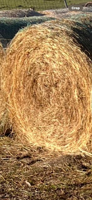 Hay for sale 4x4 round bales | Pet Products | Gumtree Australia ...