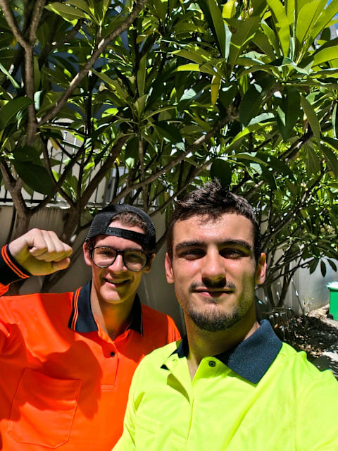 IMMEDIATE START, Searching for job 👷‍♂️🍇🐄🐴 | Other Jobs | Gumtree ...