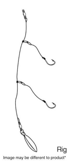 Paternoster rig great for whiting, snapper and salmon - Fishing in ...