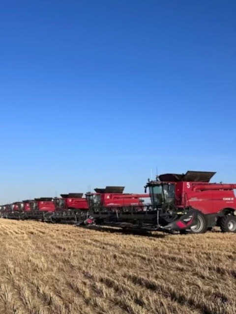 Positions available for Grain Harvest: Header, Chaser Bin, and Truck ...