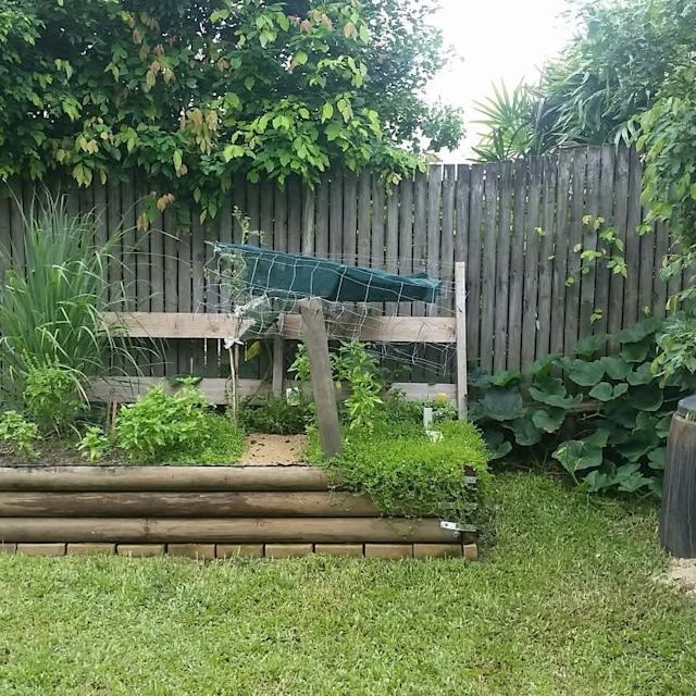 Garden Bed - Koppers Log Wicking Garden - Pots & Garden Beds in Mount ...