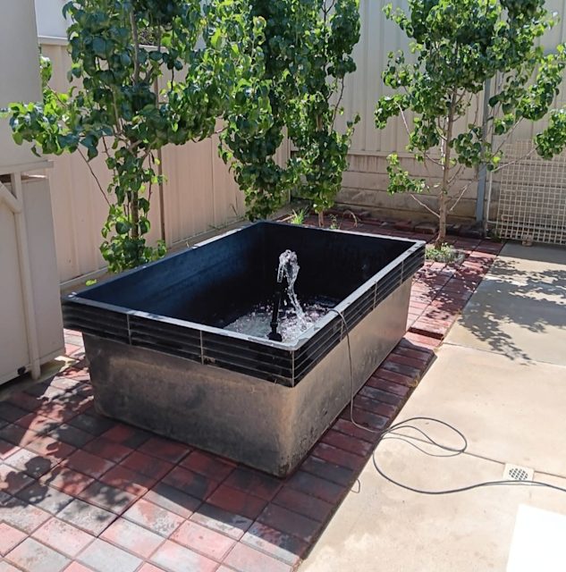 PONDMAX Free standing Pond and Pump - Other Garden in Pasadena SA ...