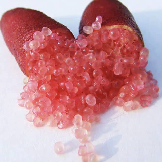 Red Finger Lime tree, grafted - Plants in Lakemba NSW | Gumtree Australia