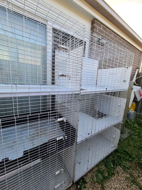 MUST GO ASAP *Offers accepted!! - Large 3 tier cat/birthing pens x2 ...