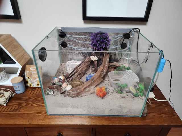 Large Hermit Crab/ Reptile Tank/ Complete Hermit Crab Startup kit | Pet ...