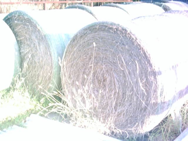 Round Bales of Hay from | Pet Products | Gumtree Australia Yarra Ranges ...