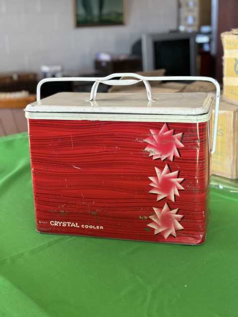 Vintage 1970s retro eski cooler box - Collectables in Sandy Bay TAS ...