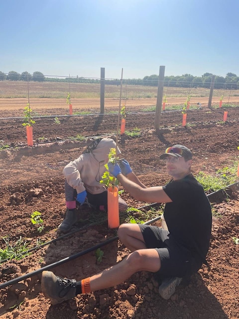 I am looking for 88 days Work in all WA | Other | Gumtree Australia ...