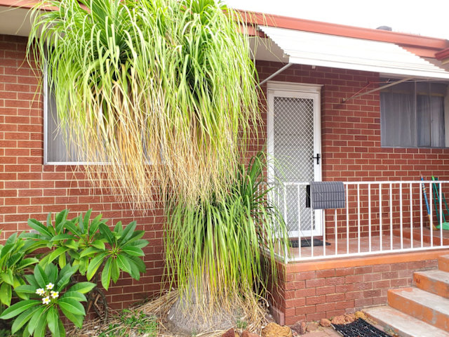 Exclusive Granny Flat with Relaxing Backyard - for Rent | Gumtree Australia