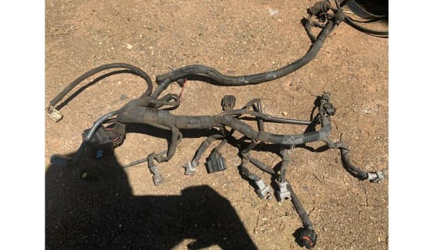 FORD FALCON AU1 VCT 6 CYLINDER PETROL MOTOR MAIN ENGINE WIRING LOOM ...