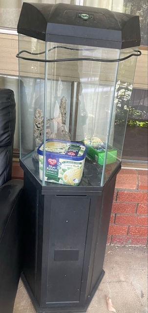 Fish Tank Hexagon $80 | Fish | Gumtree Australia Armadale Area ...