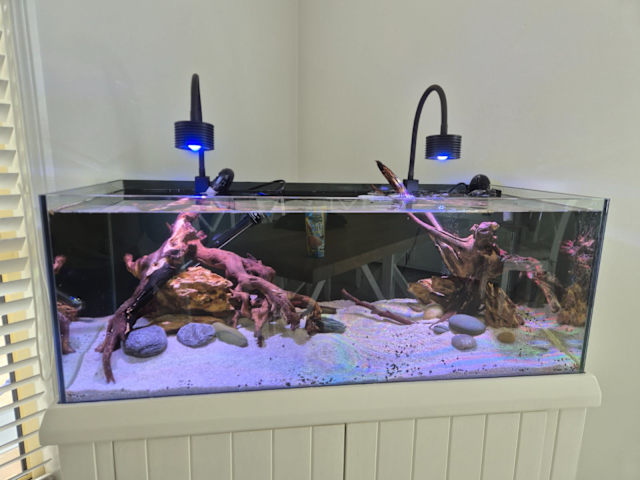 Rimless Low Fish Tank - Innovative Marine Nuvo Black Aquarium | Pet ...
