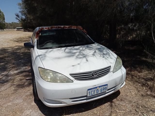 2004 Toyota Camry ATEVA 4 SP AUTOMATIC 4D SEDAN | Cars, Vans & Utes ...