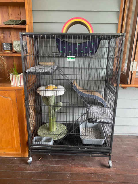 VEBO 3-Level Metal tube Cat & Ferret Cage with wheels | Pet Products ...