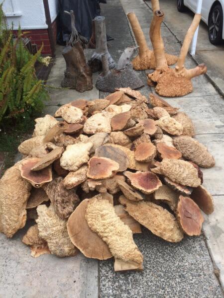 Red & Brown Mallee burls - Also hardwood live edge timber slabs ...
