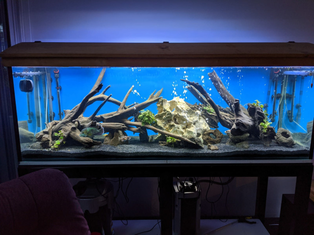 Fish Tank (600L) PICKUP ONLY | Pet Products | Gumtree Australia Tweed ...