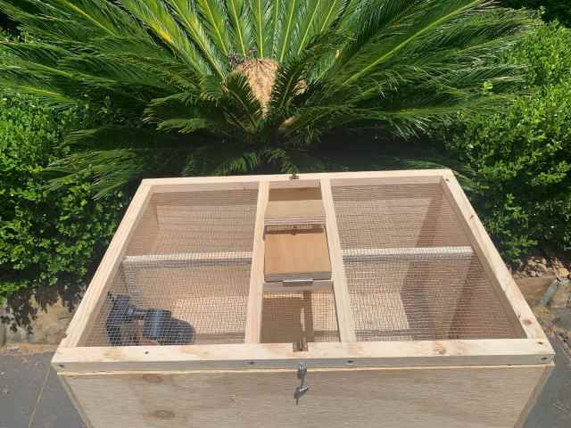 King quail brooder box | Pet Products | Gumtree Australia Dungog Area ...