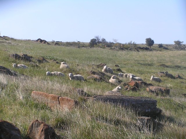 Clean Fill wanted - will pay for fuel | Other Building & Construction ...