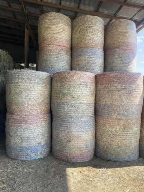 Ryegrass round hay - Miscellaneous Goods in Woolomin NSW | Gumtree Australia